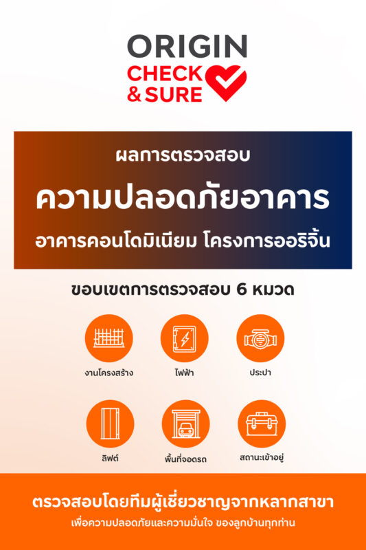 Check and Sure - Origin